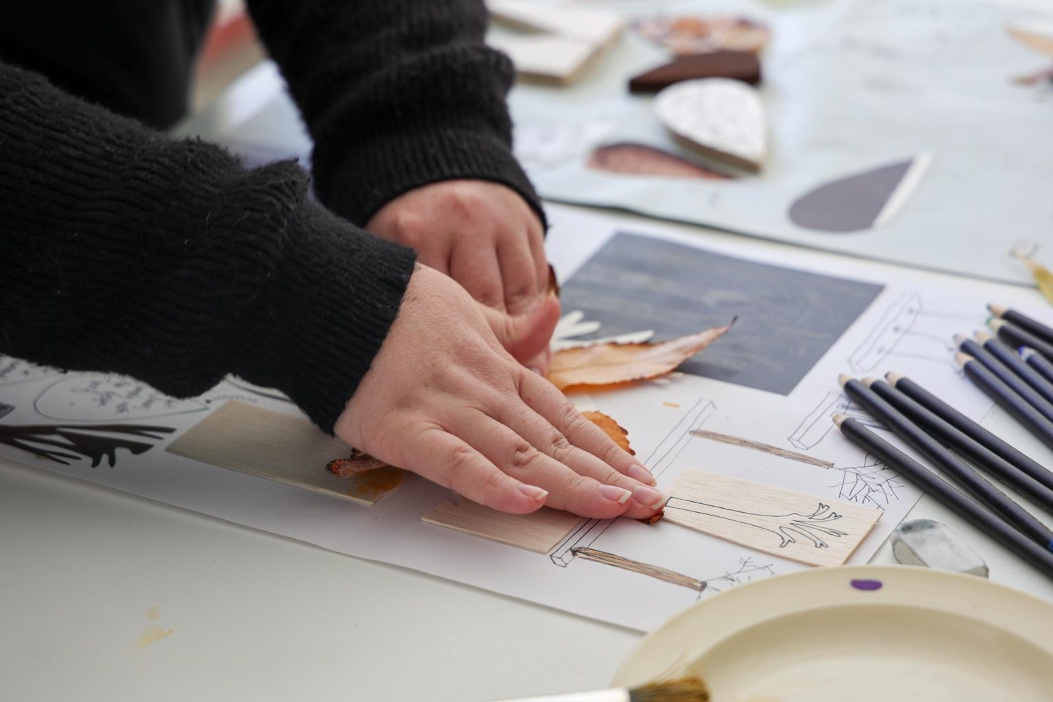 Nature Inspired Art - Short Course | Murray Arts